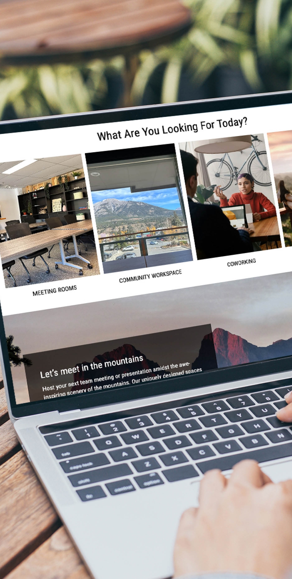 Switchback Creative - Digital Agency - Websites, Branding & Advertising